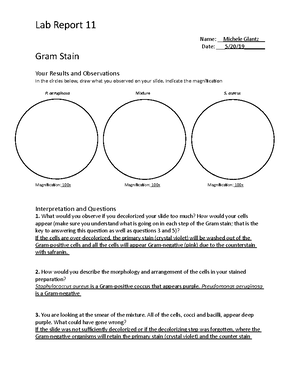 Lab Exercise 15 - Lab Report 14 Name: Michele Glantz Date: 5/21/19 ...