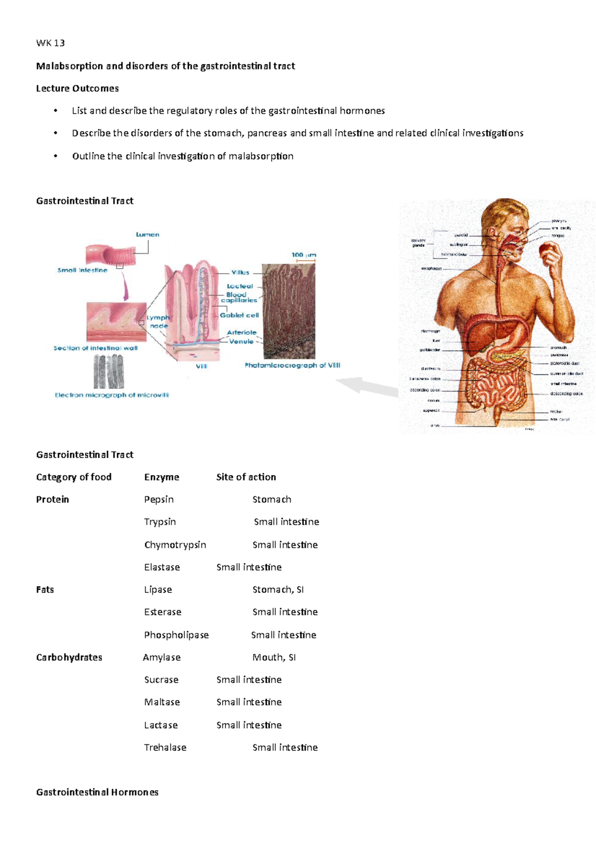 WK12 Malabsorption and disorders of GI - WK 13 Malabsorption and ...
