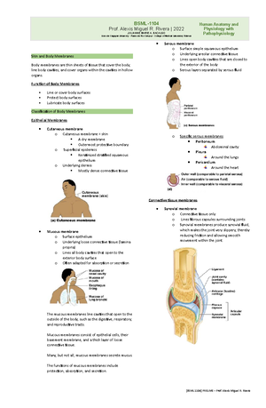 Return-Demo - this return demo is for deep tendon reflex and cranial ...