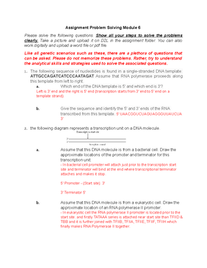 Eliana Anderson H-R Diagram - Name: Date: Student Exploration: H-R ...
