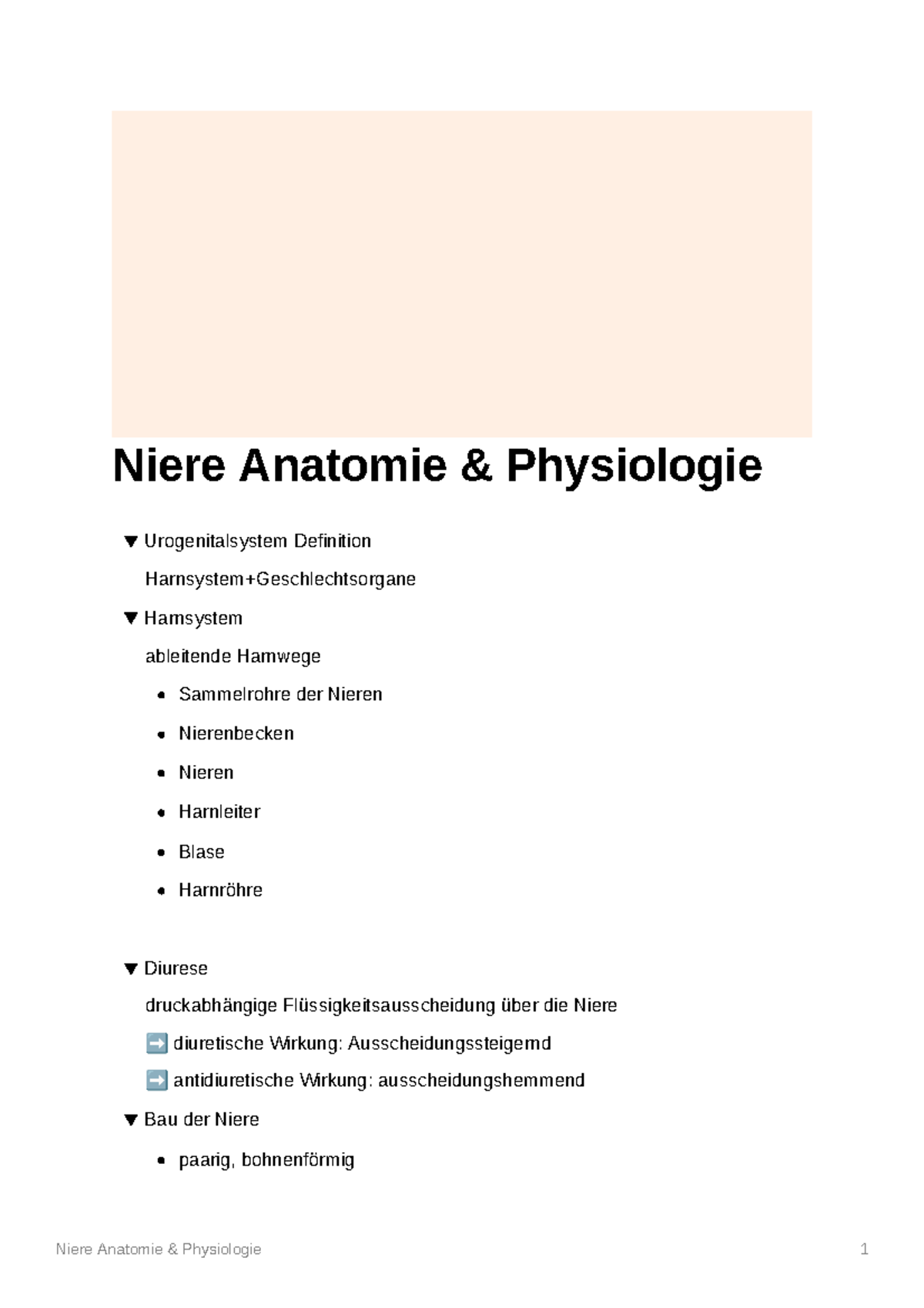 Niere Anatomie Physiologie - Niere Anatomie & Physiologie ...