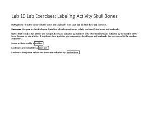 Lab 12-Labeling Exercise - Lab 12 Labeling Exercises: Upper Extremity ...