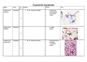 Bacterio 1 - sam - SALMONELLA Gram – Katalase + Oxydase – KIA: AK+ H2S ...