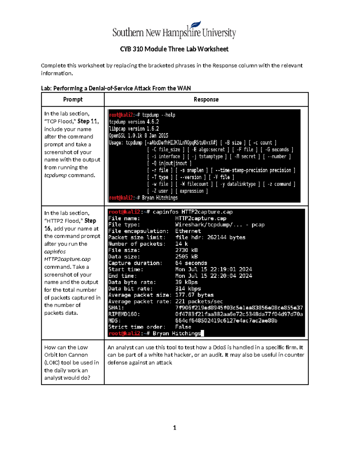 CYB 310 Module Three Lab Worksheet - CYB 310 Module Three Lab Worksheet ...