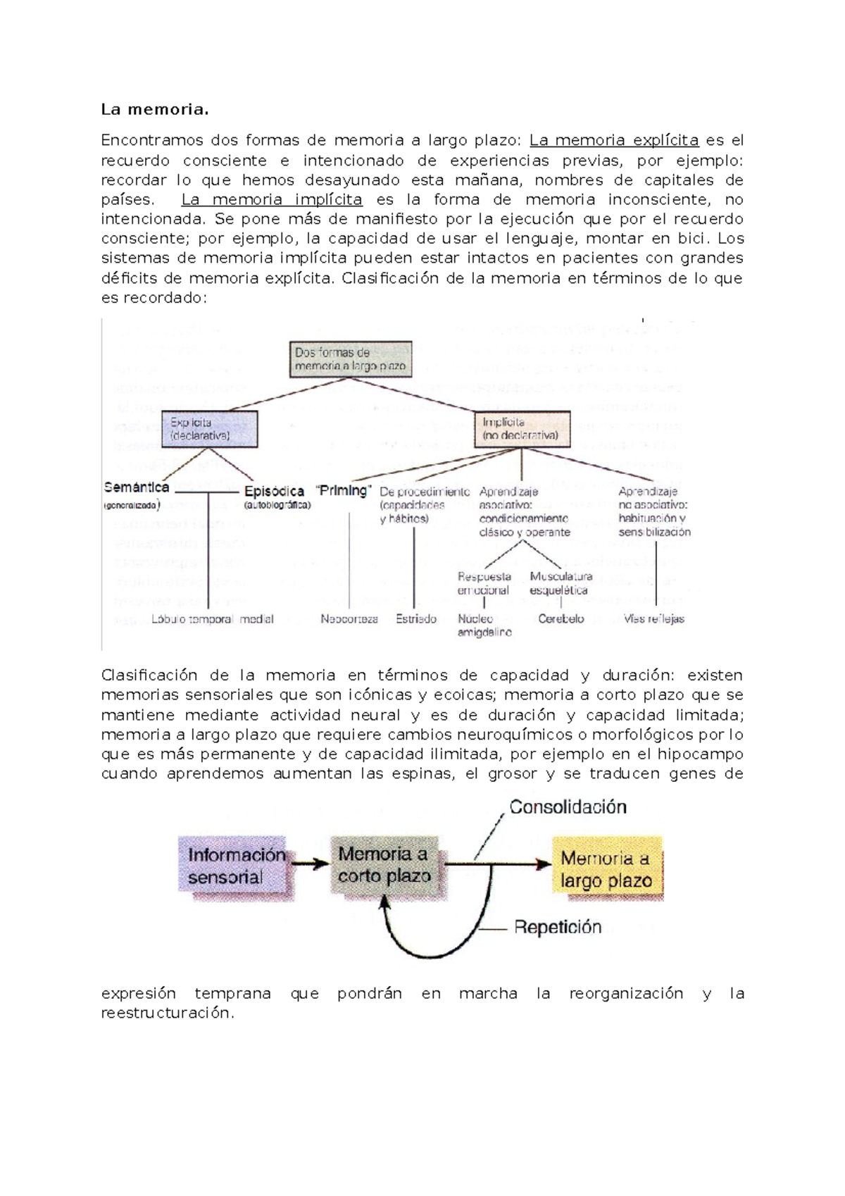 La memoria - Encontramos dos formas de memoria a largo plazo: La ...