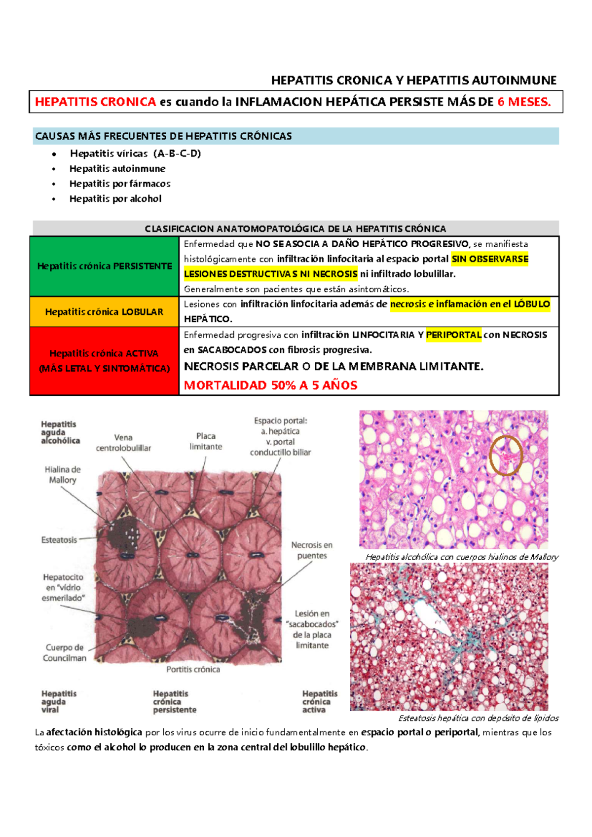 Hepatitis Autoinmune - Resumen Gastroenterología - HEPATITIS CRONICA Y ...