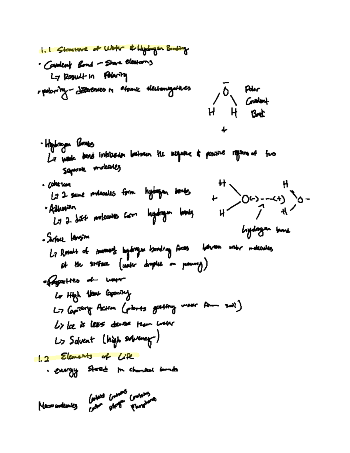 Notes for test - I l structure of Water HydrogenBonding Covalent Bond ...