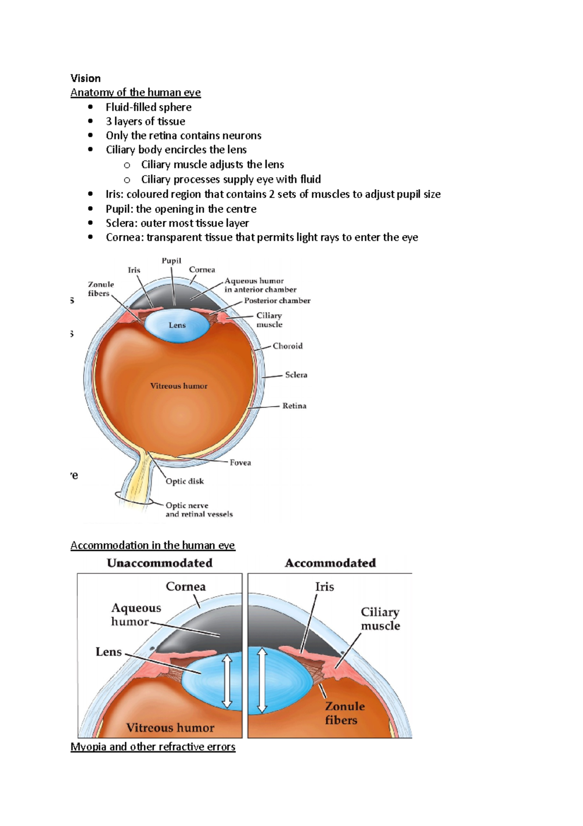 Week 7 - lecture notes - Vision Anatomy of the human eye Fluid-filled ...