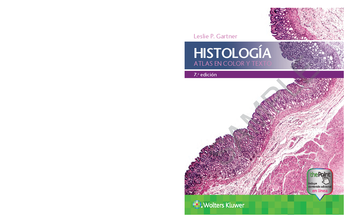 H Istología H Istología H Istología Atlas EN Color Y Texto Atlas EN ...