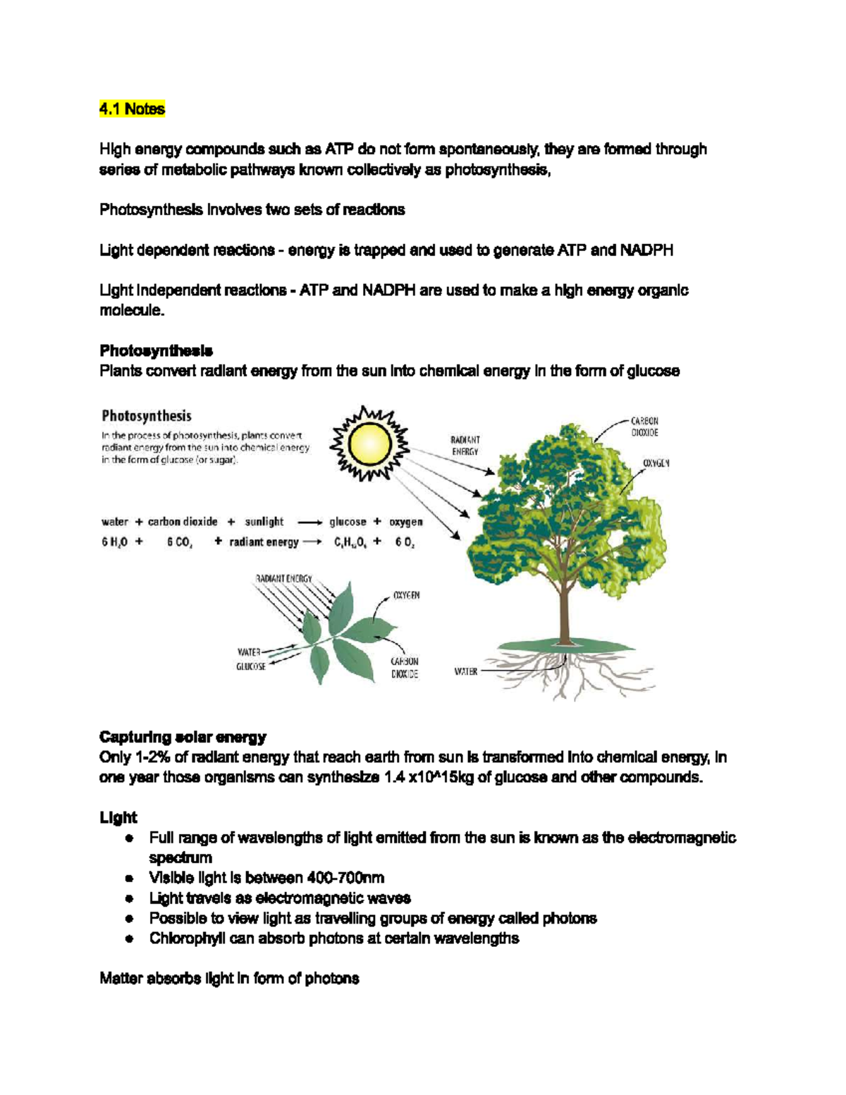 Biology Grade 11 - Unit 4 - Chapter 4 Notes - Studocu