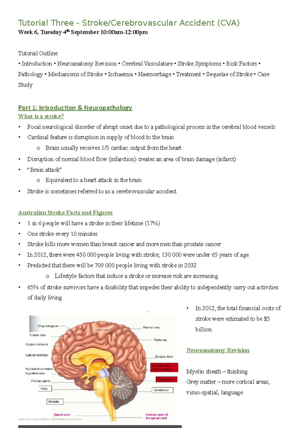PSY344 W6 T - Detailed tutorial notes - Tutorial Three - Stroke ...
