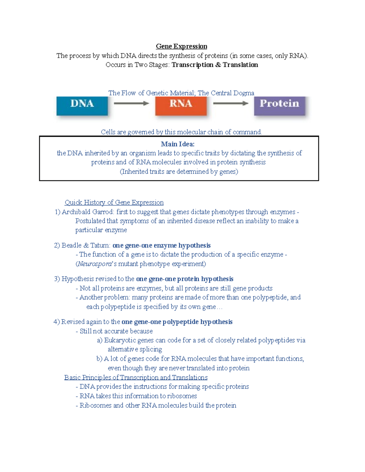 5 Gene Expression - Gene Expression The process by which DNA directs ...