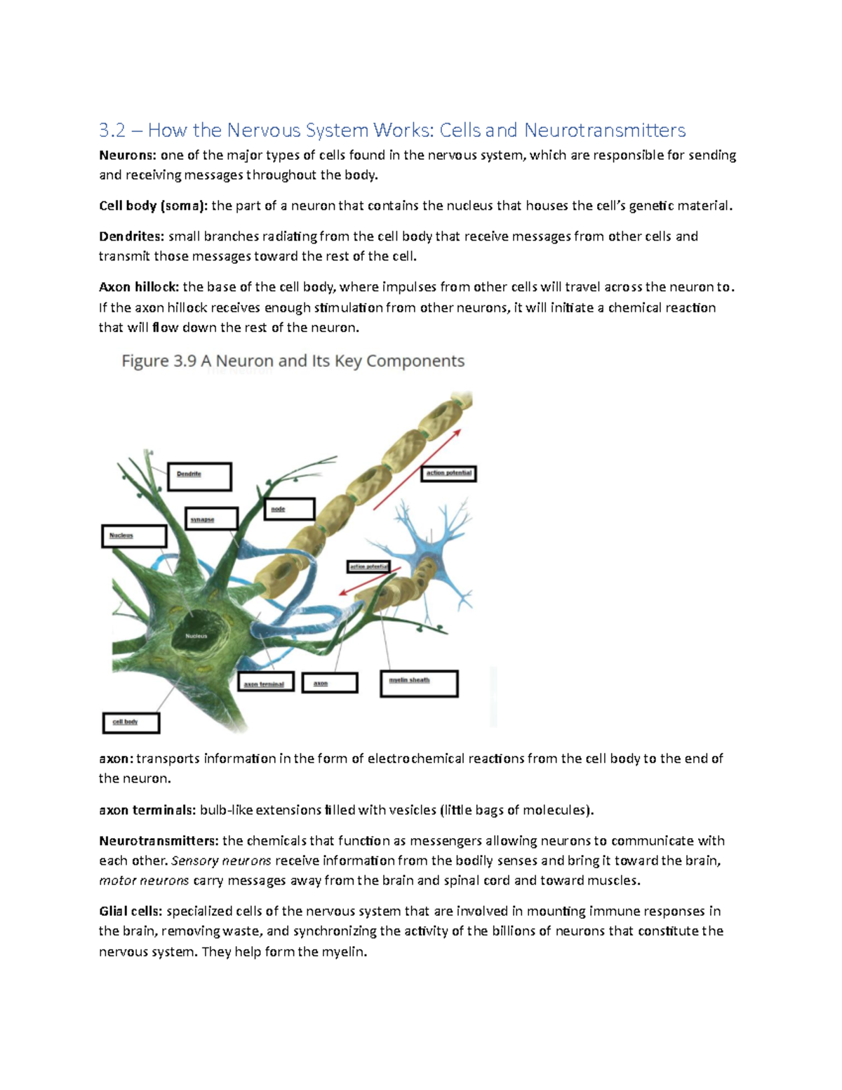 3.2 – How the Nervous System Works (Cells and Neurotransmitters) - 3 ...