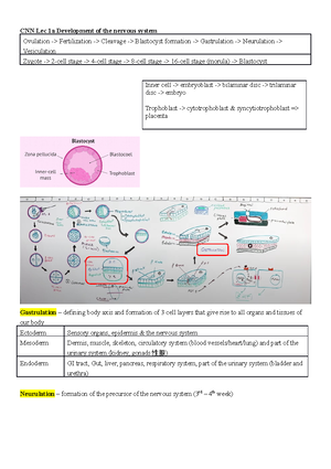 CNN test 2 from lecture 5 to 12 - Clinical Neurology & Neuroscience ...