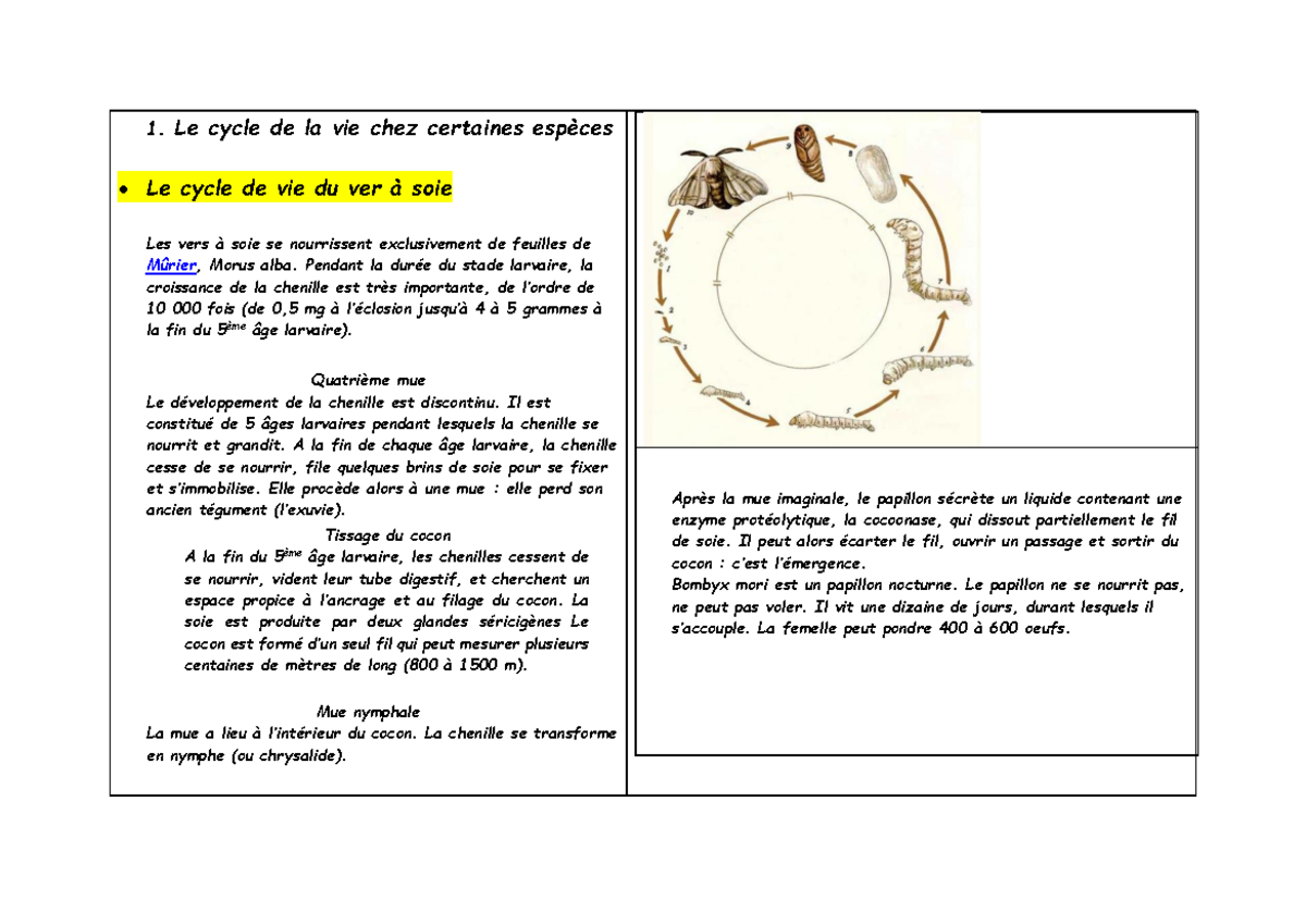 Cycles de Vies - 1. Le cycle de la vie chez certaines espèces Le cycle ...