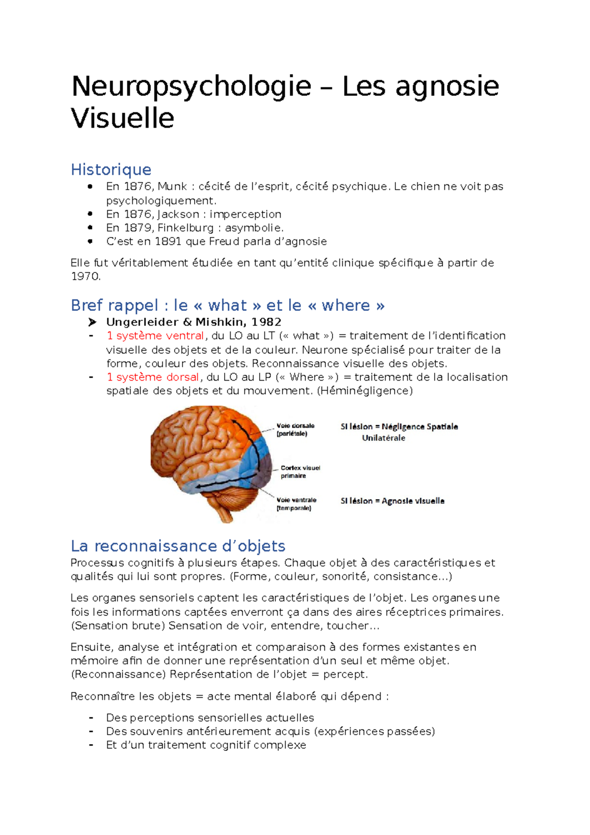 Neuropsychologie – Les agnosie Visuelle - Neuropsychologie – Les ...