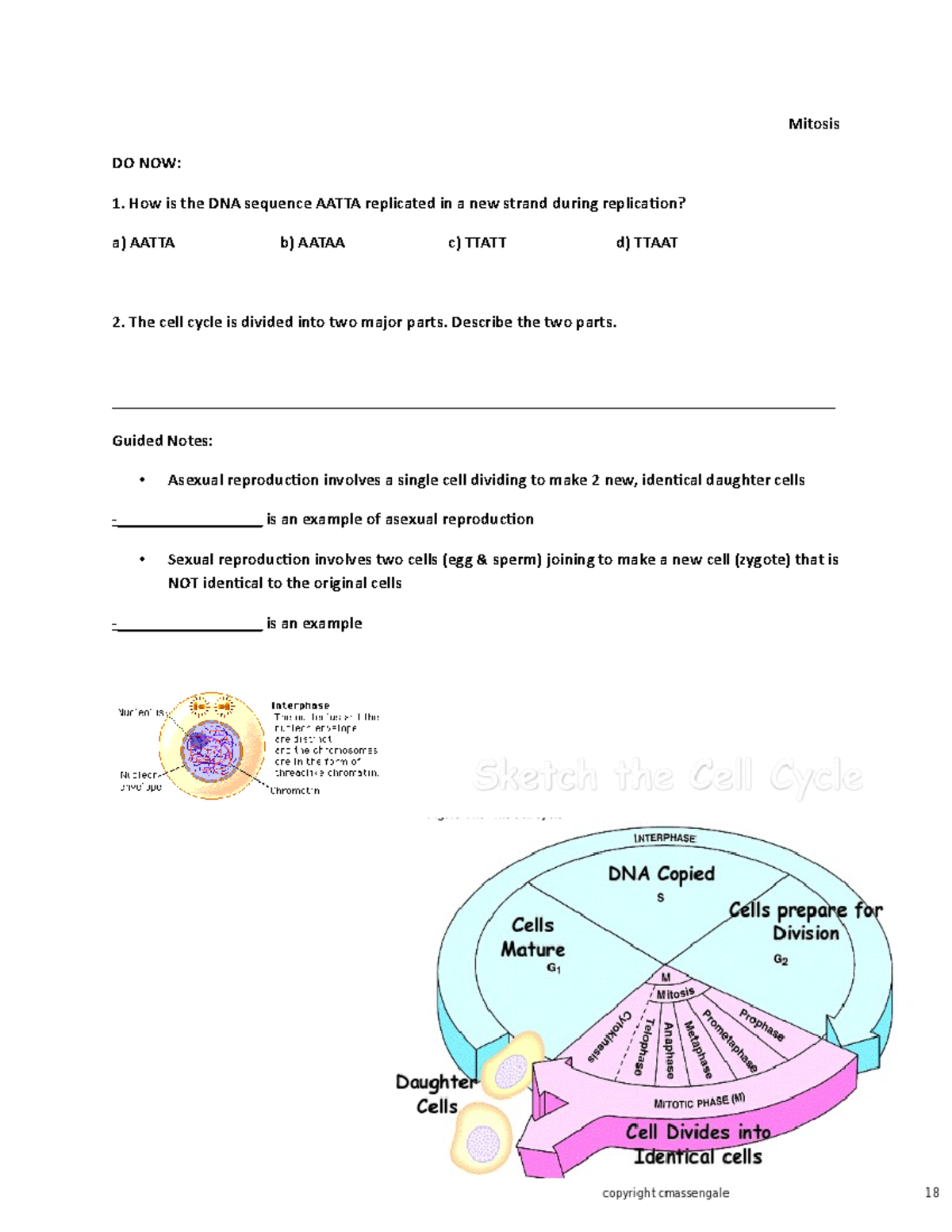Mitosis gn - Lecture notes 2 - Mitosis DO NOW: 1. How is the DNA ...