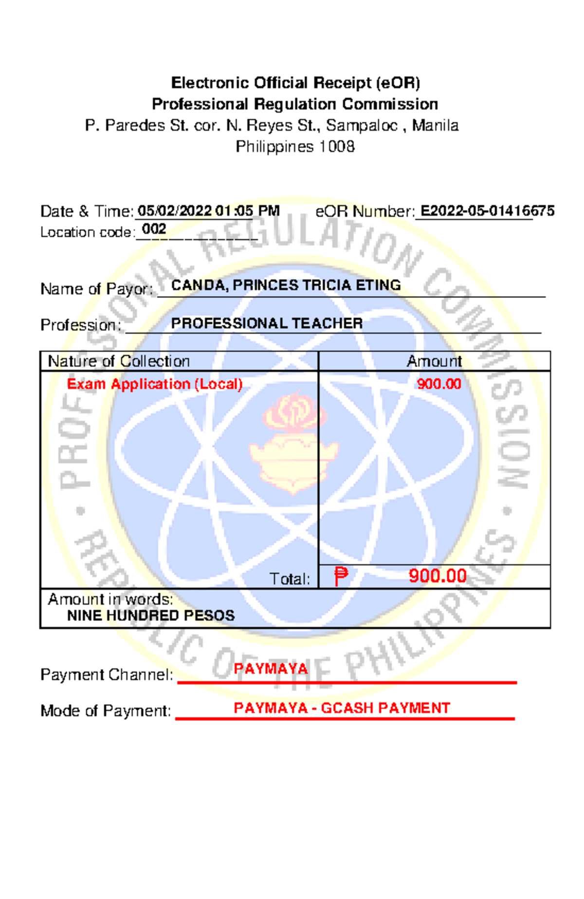 Doc - Lesson plan - Electronic Official Receipt (eOR) Professional ...