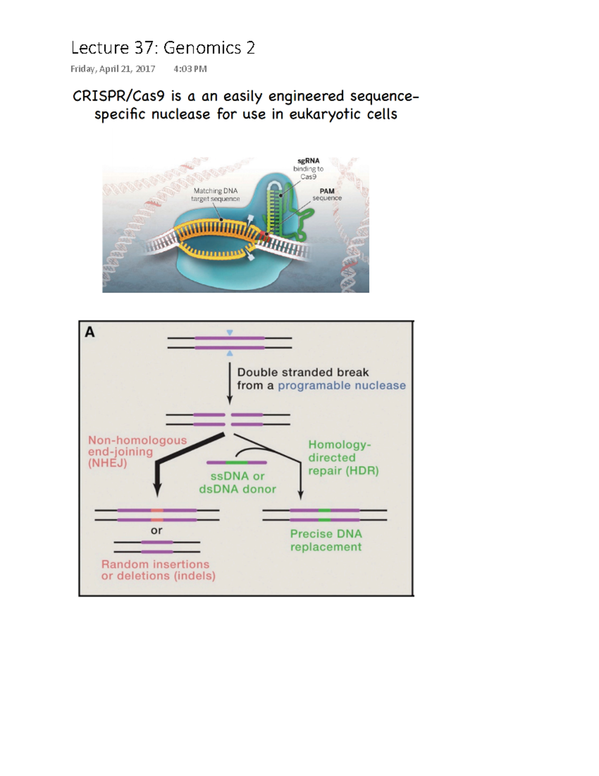 Lecture 37 - Genomics 2 - Professors: Barbara Kunkel and John Majors ...