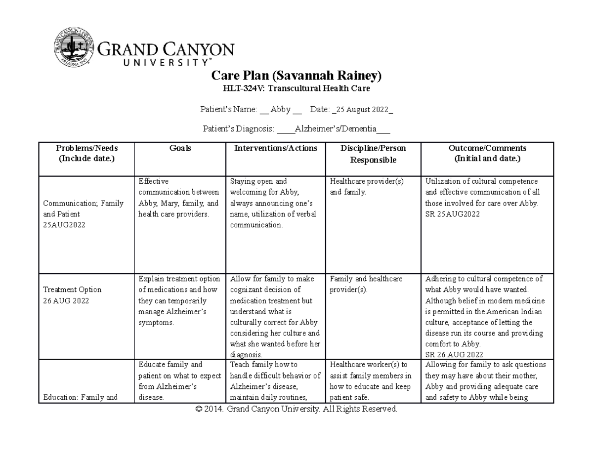 Rainey Care Plan Template - Care Plan (Savannah Rainey) HLT-324V ...