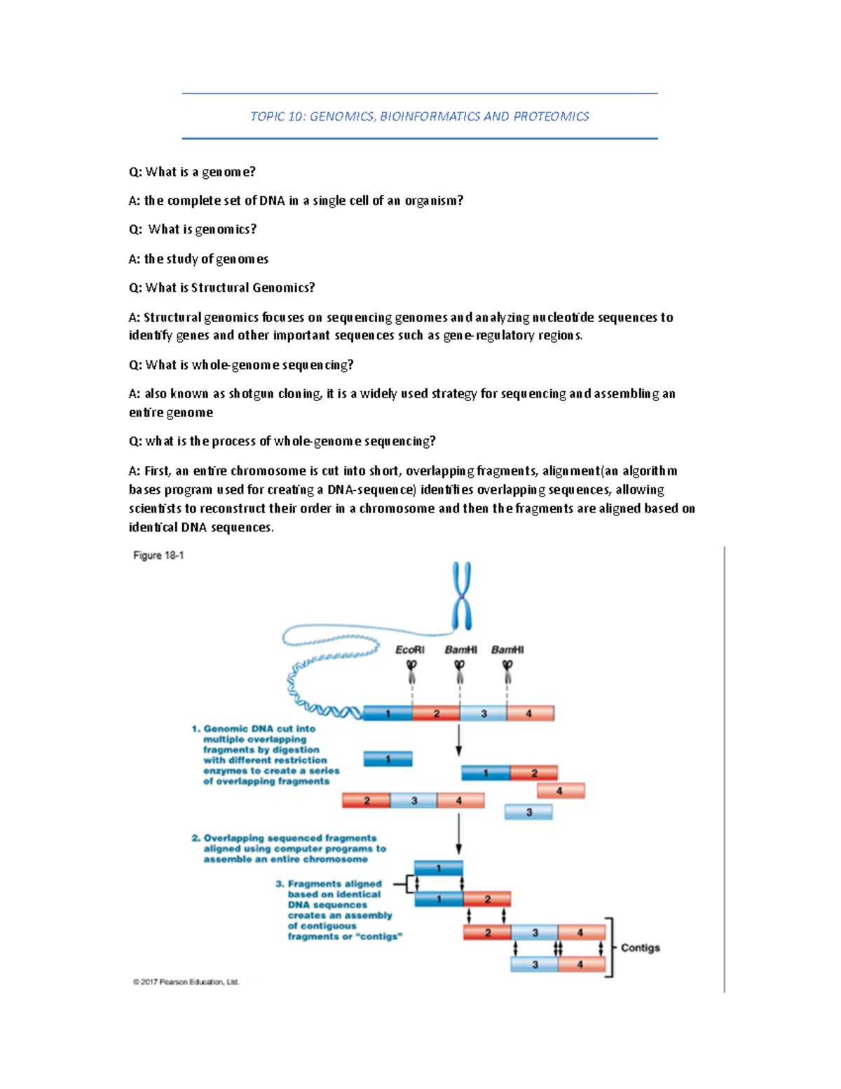 Topic 10 and 11 gene - NOTES - TOPIC 10: GENOMICS, BIOINFORMATICS AND ...