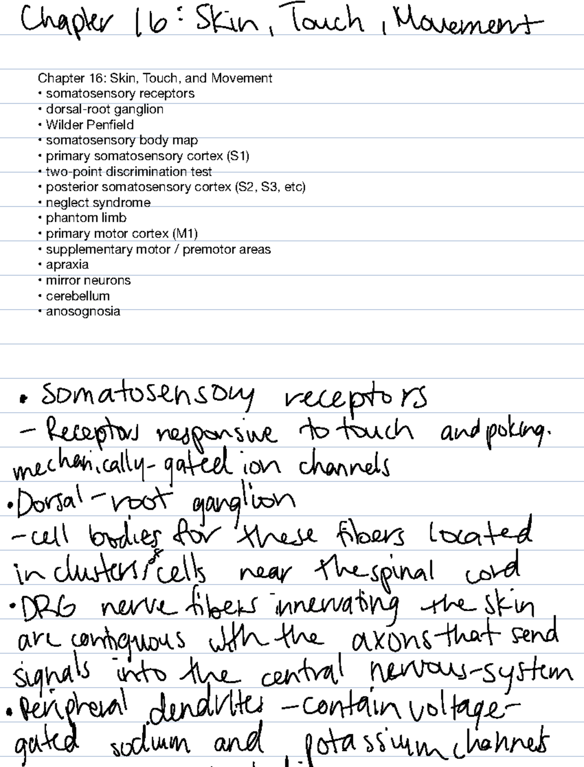 Chapter 16 Skin, Touch, Movement - Chapter 16 Skin Touch Movement ...