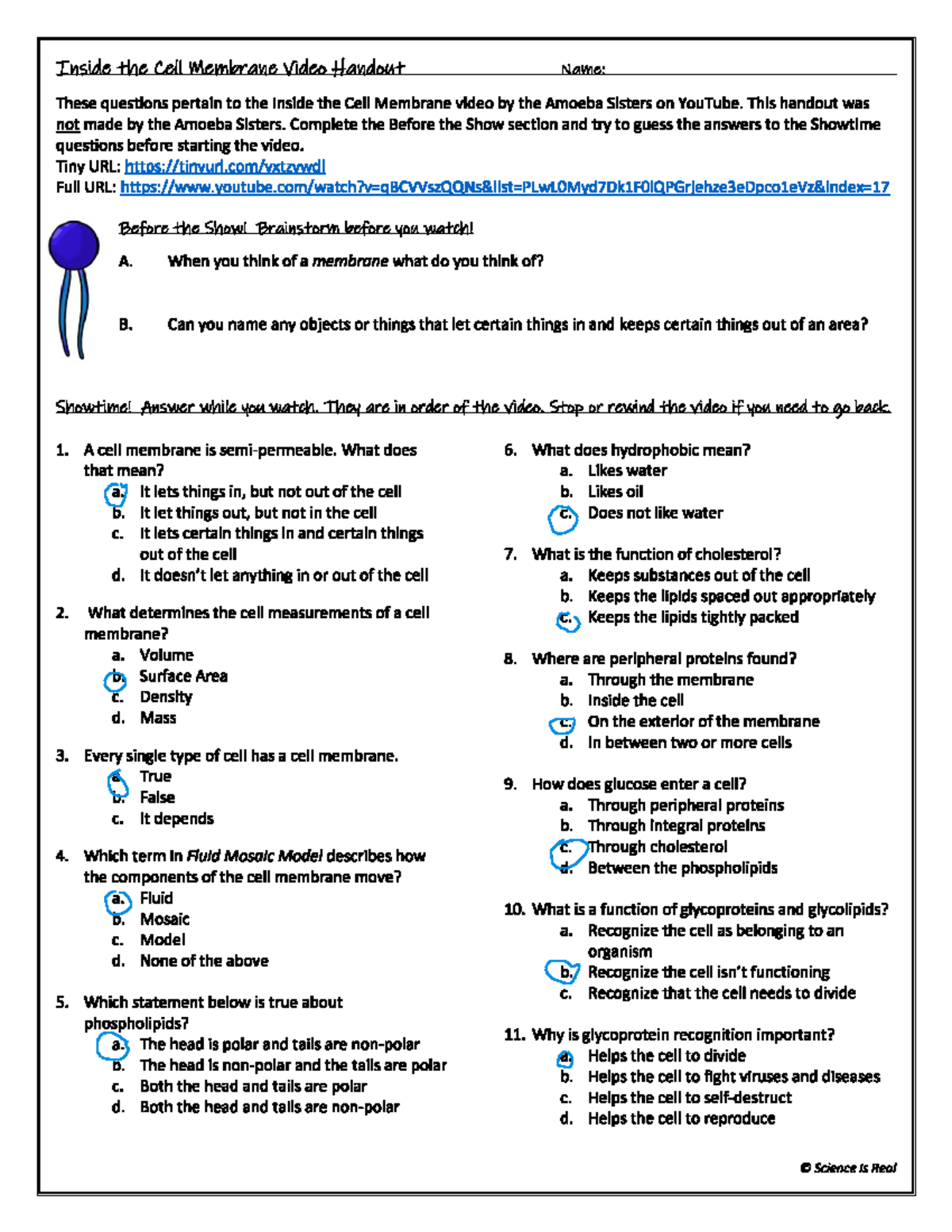 Annotated-Student%20worksheet-%20Amoeba%20sisters%20inside%20the%20cell ...