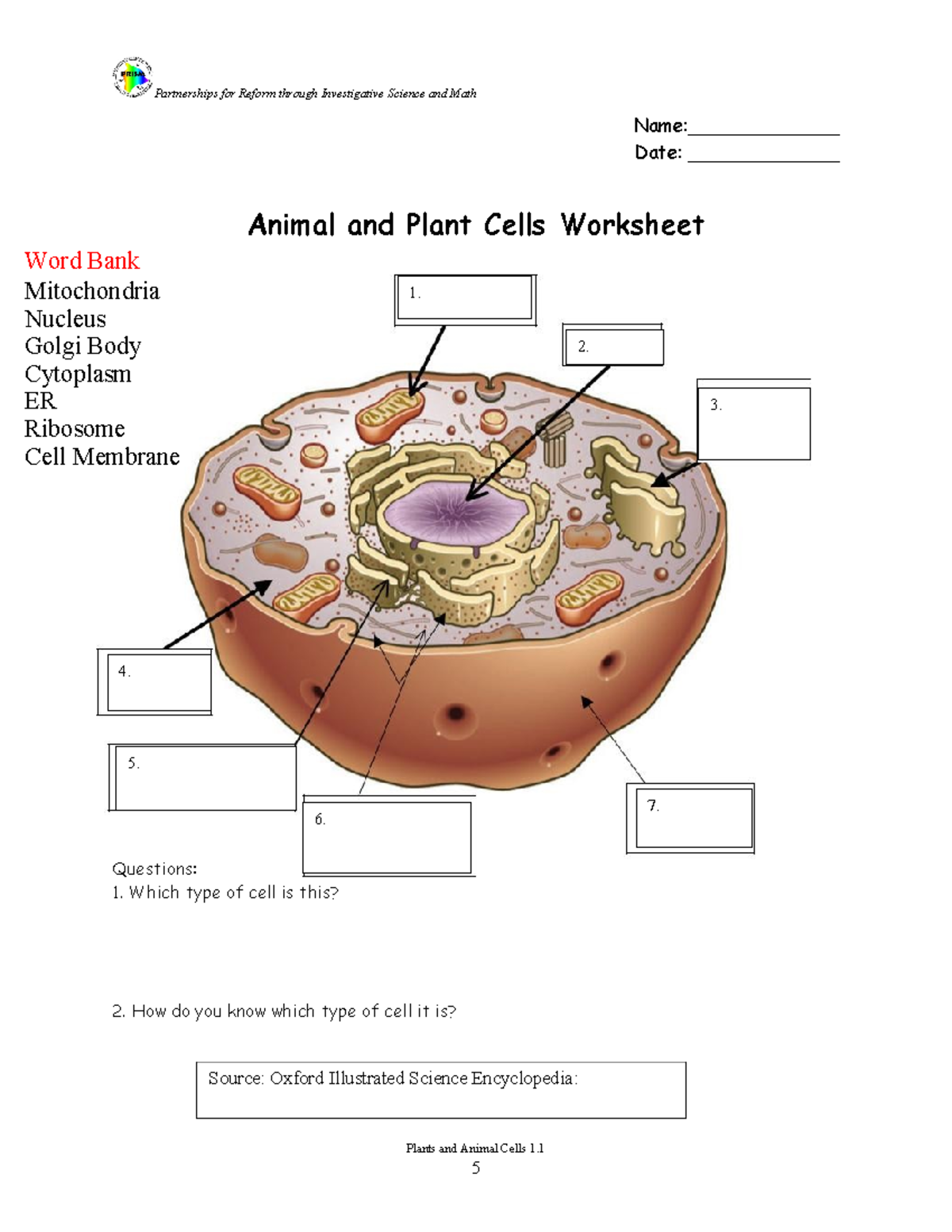 Cells practice worksheet 2-3 - Partnerships for Reform through ...