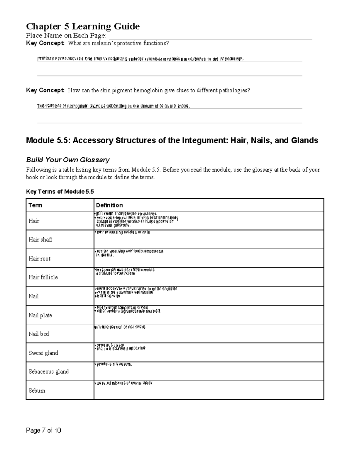Chapter 5 pg 7 - Chapter 5 Learning Guide Place Name on Each Page ...