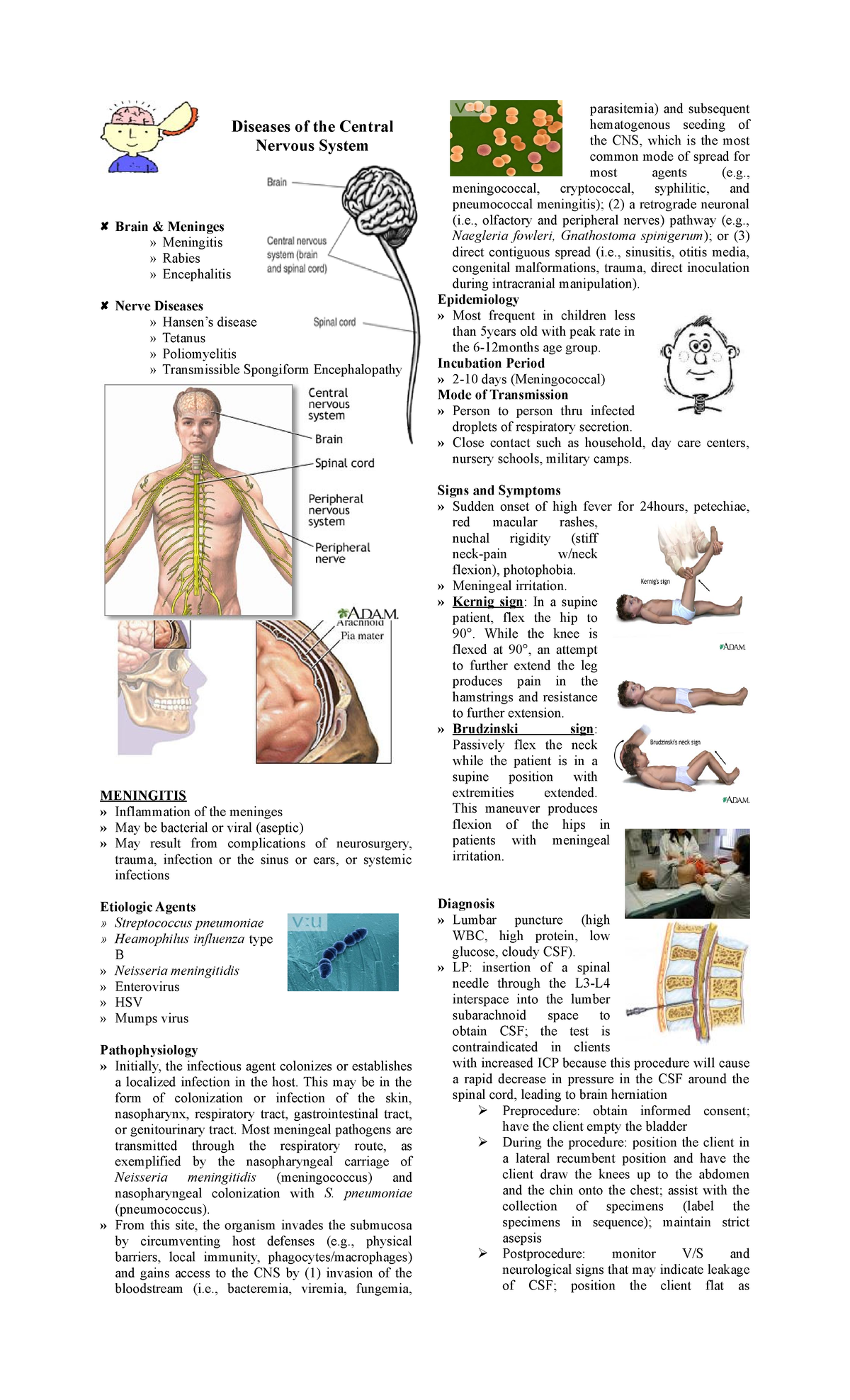 Diseases of the Central Nervous System - Diseases of the Central ...