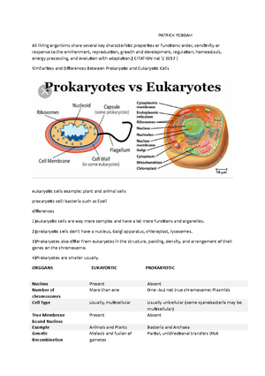 Bomb Threat Actions Checklist - Form 5474 ACTIONS TO BE TAKEN ON ...