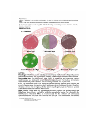 Exercise Prescription - ANNEX A EXERCISE PRESCRIPTION Cardiovascular ...