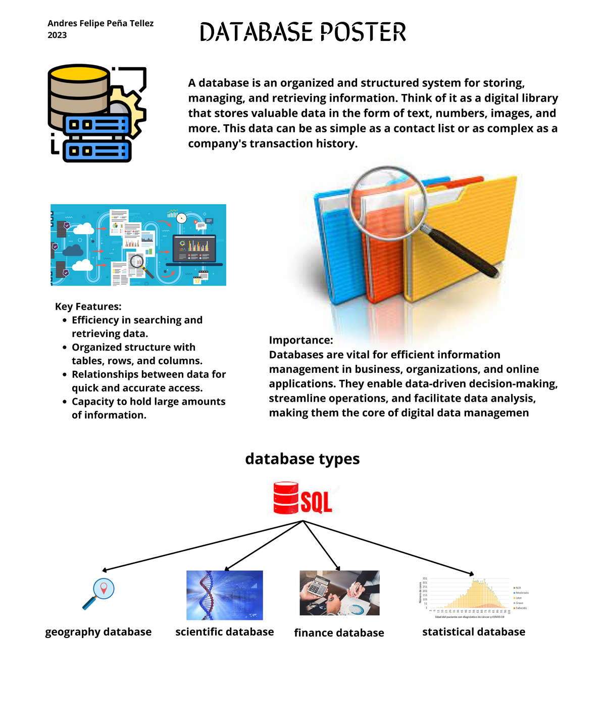 Database poster - cocaco - DATABASE POSTER A database is an organized ...