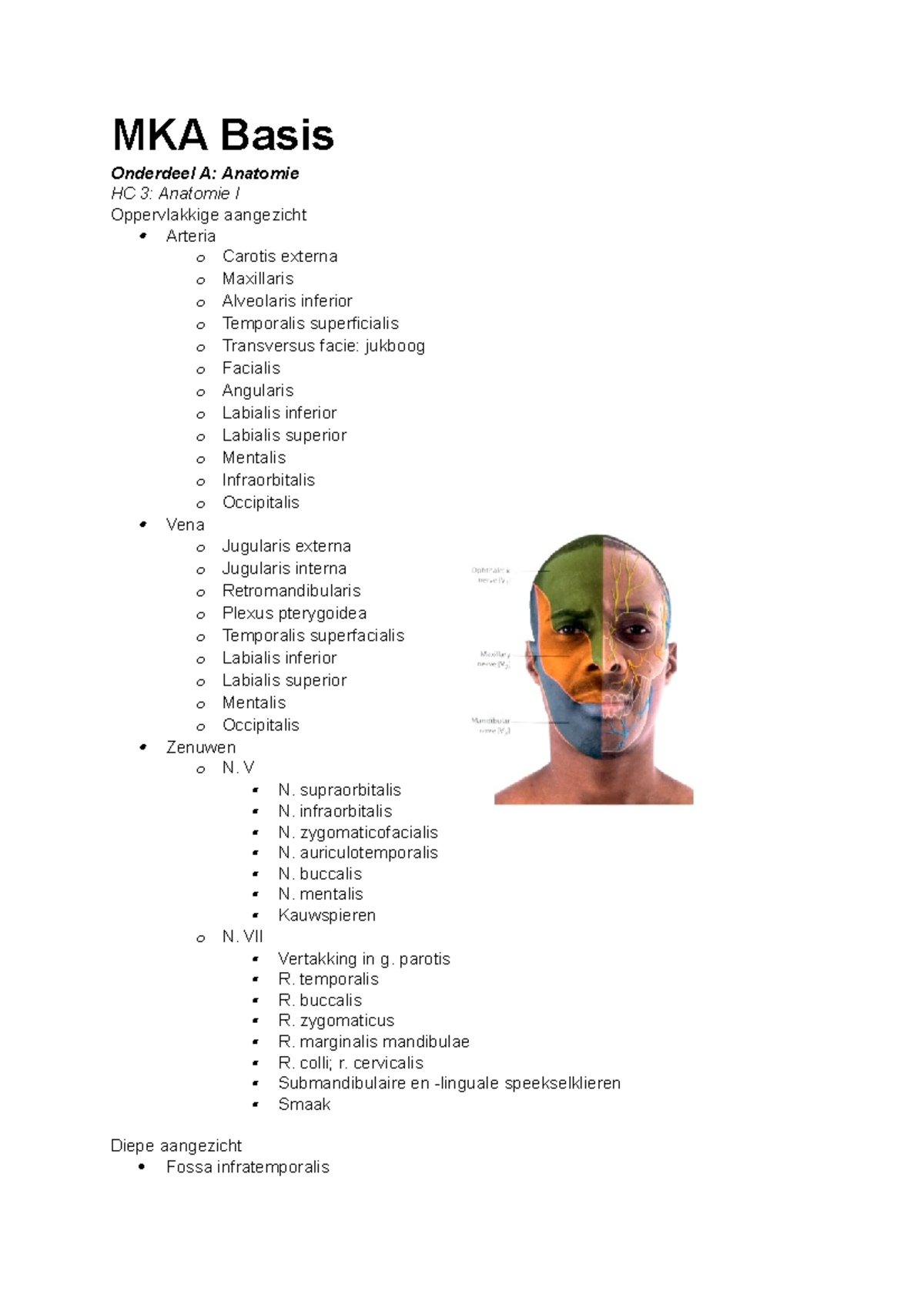 Aantekeningen MKA Basis - MKA Basis Onderdeel A: Anatomie HC 3 ...