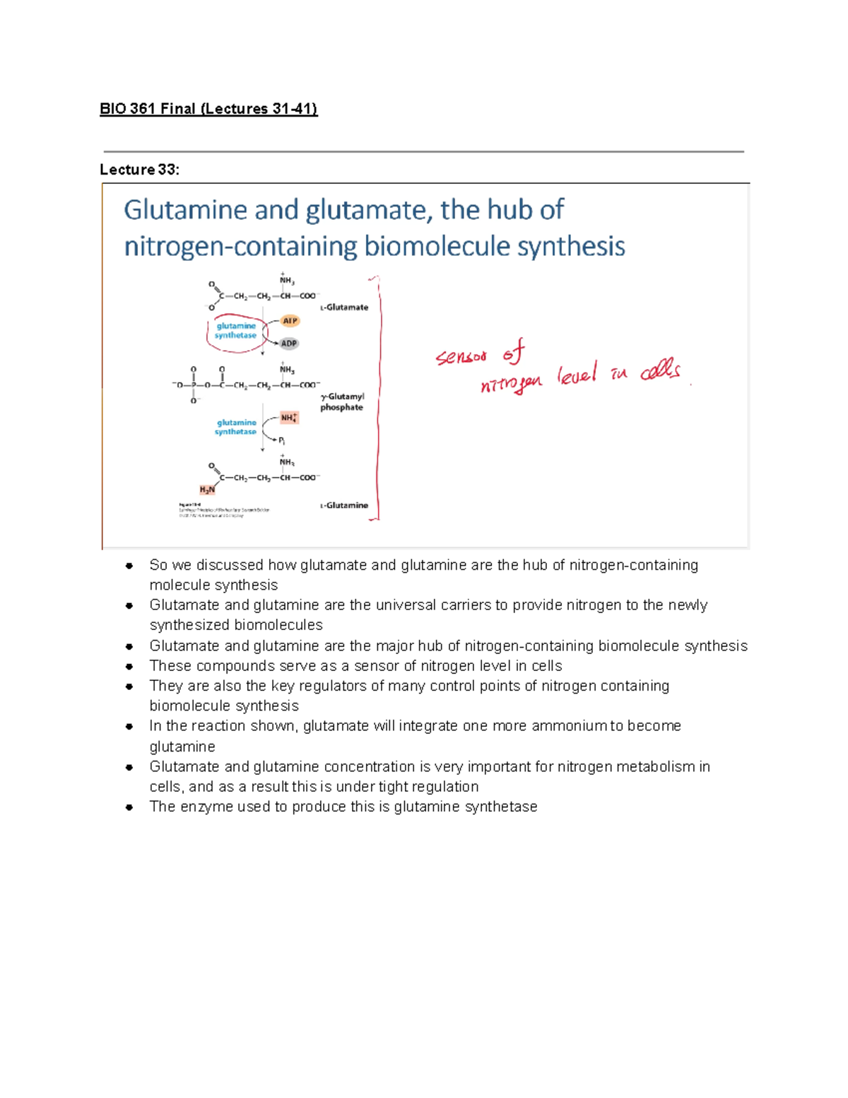 Lecture 33 - BIO 361 Final (Lectures 31-41) Lecture 33: So we discussed how glutamate and - Studocu