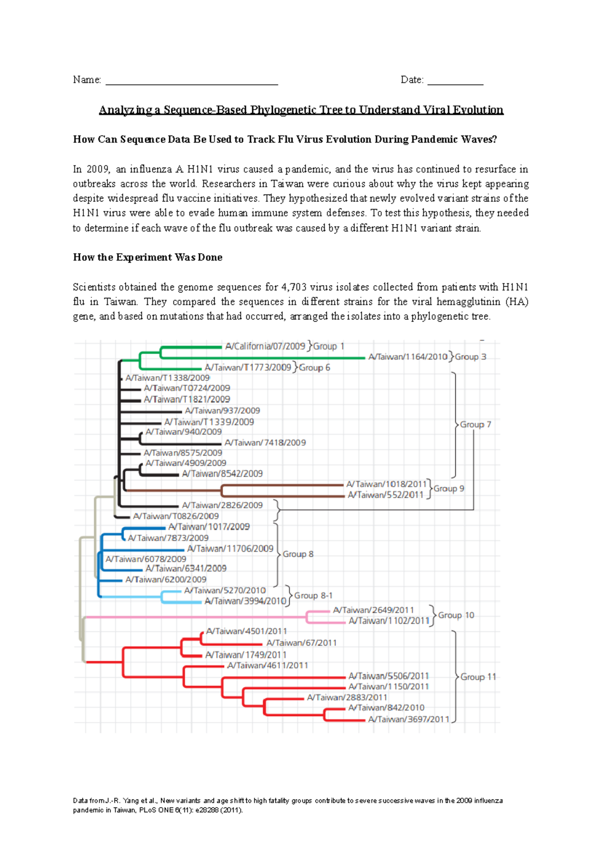 Analyzing a Sequence-Based Phylogenetic Tree to Understand Viral Evolution - Researchers in ...