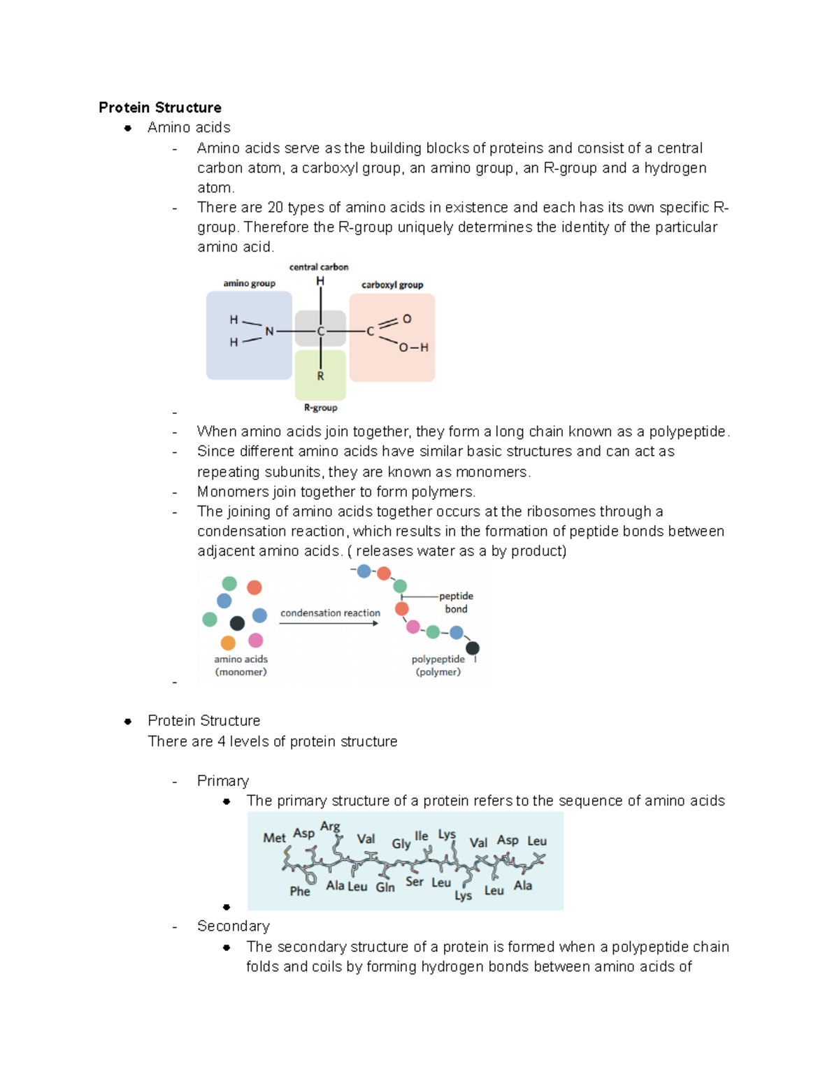 Nucleic acids and proteins notes - Protein Structure Amino acids ...
