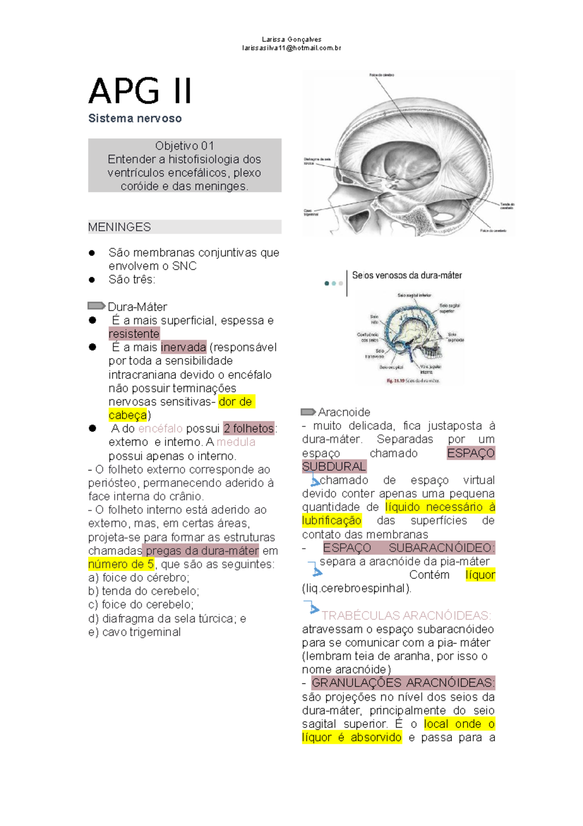 APG II - APG sistema nervoso - larissasilva11@hotmail.com APG II ...