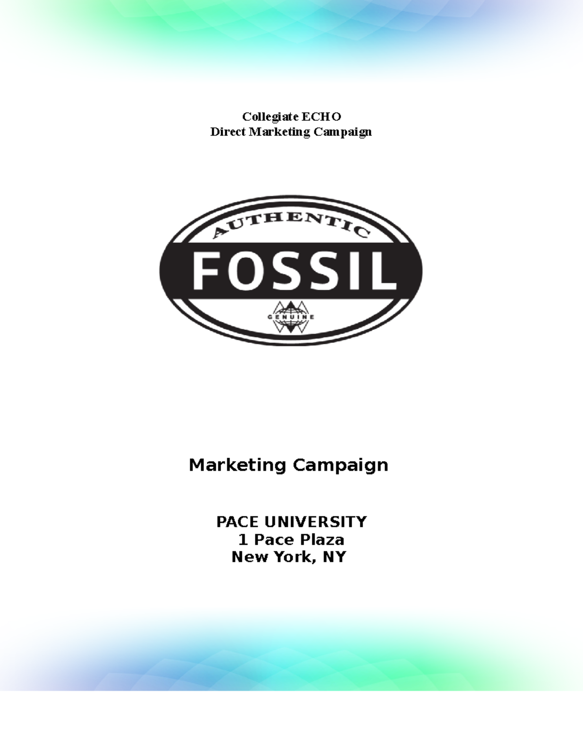 ECHO Marketing Campaign - Collegiate ECHO Direct Marketing Campaign ...