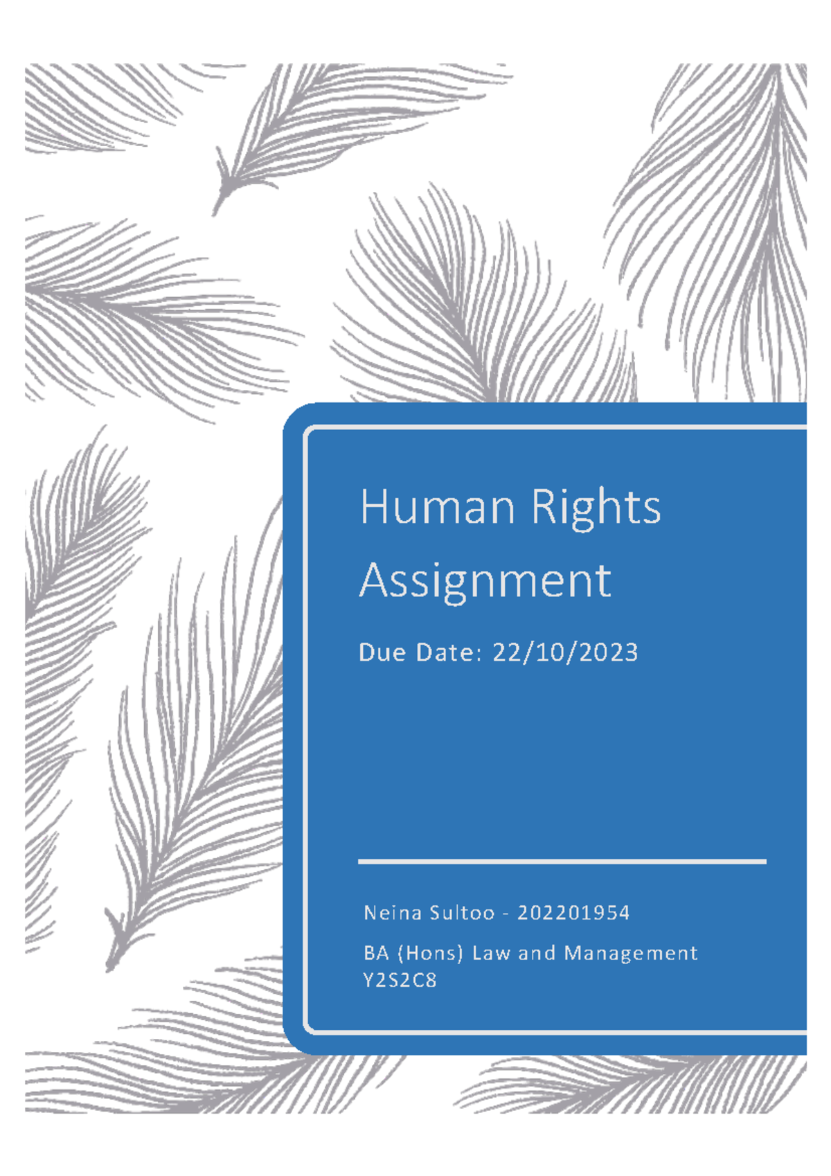 Human Rights Assignment Neina Sultoo - Human Rights Assignment Due Date ...
