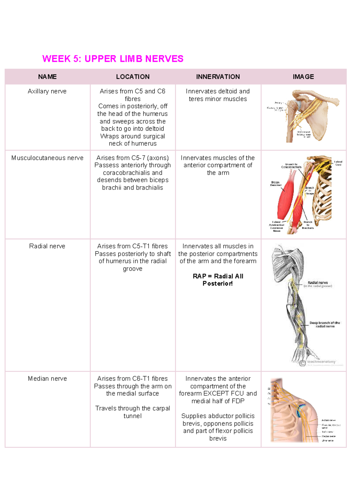 Musculoskeletal Anatomy Summary - WEEK 5: UPPER LIMB NERVES NAME ...