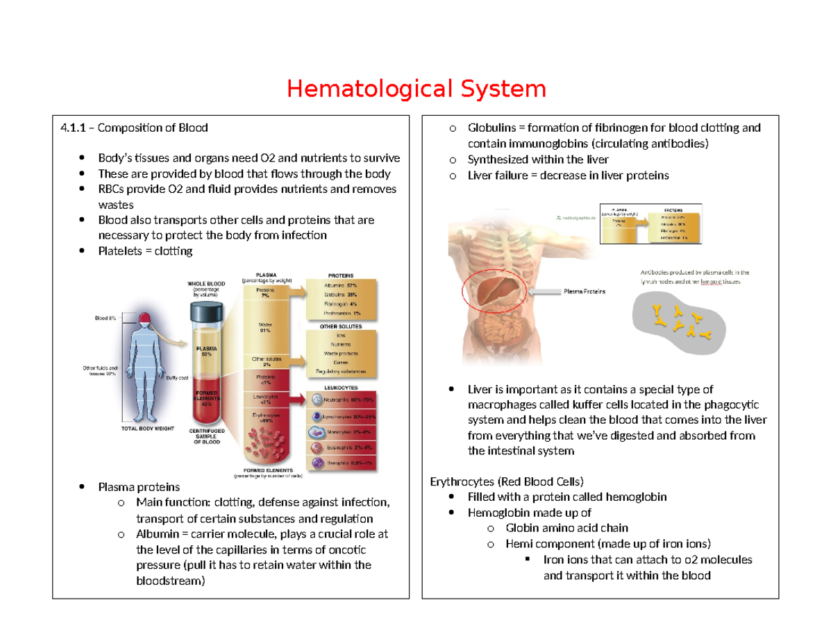 Module 4 Pathophysiology - Hematological System 4.1 – Composition of ...
