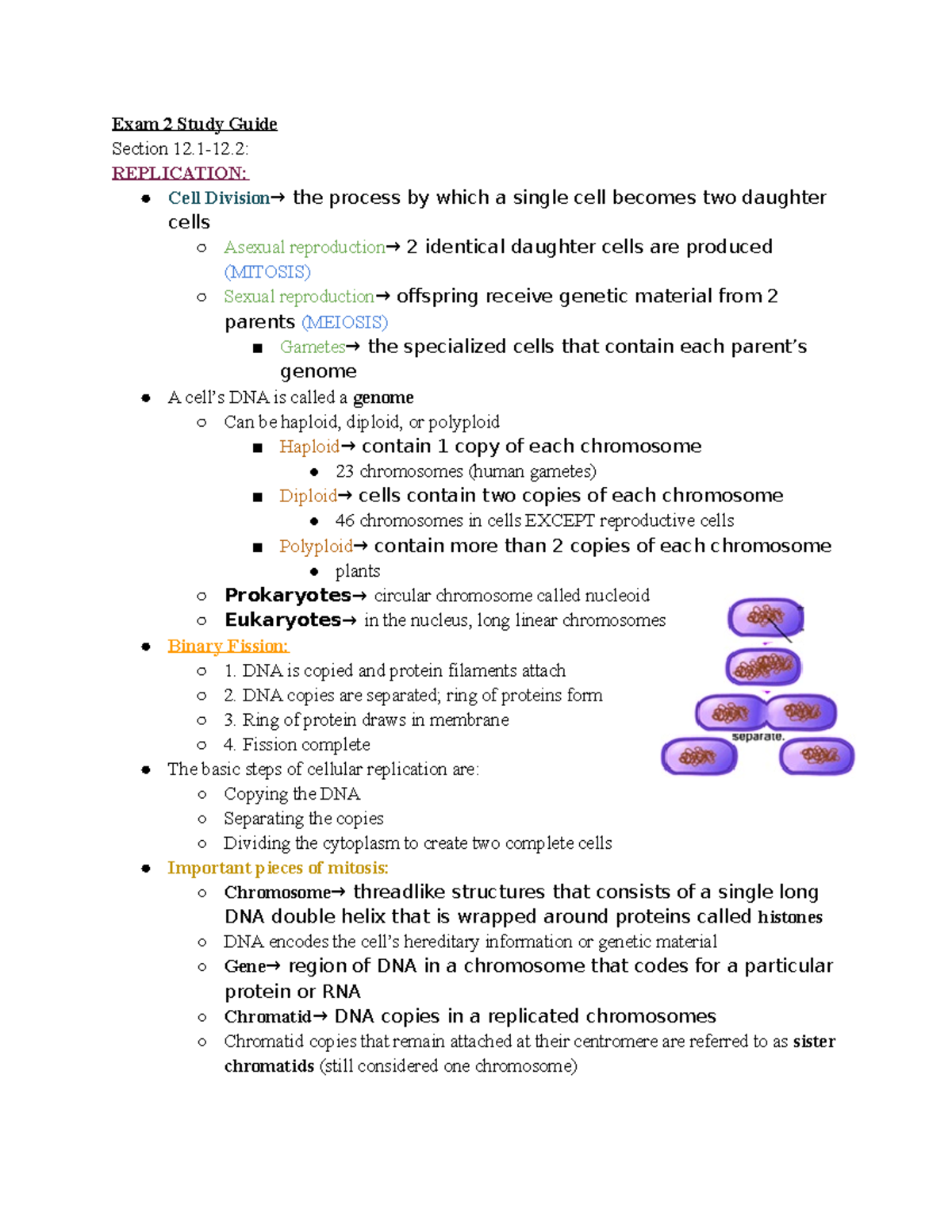 Bio I Exam 2 Study Guide - Exam 2 Study Guide Section 12.1-12 ...
