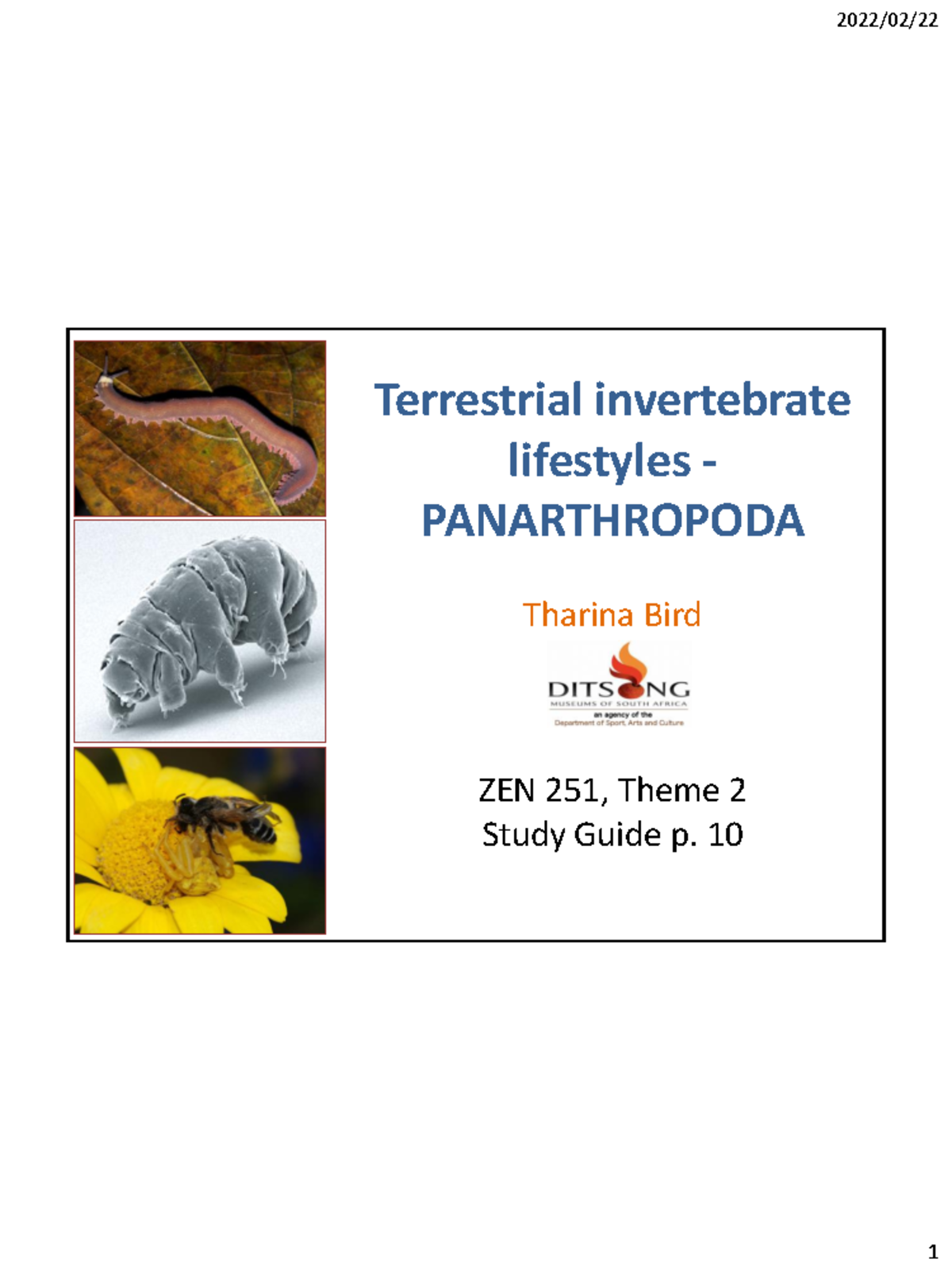ZEN 251 Theme 2 Panarthropoda 2022 handouts - Terrestrial invertebrate ...