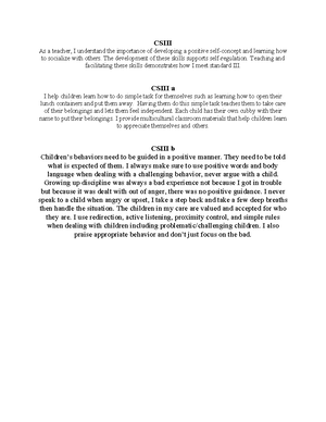CSVI - For professional Binder - CSVI Being a professional is very ...