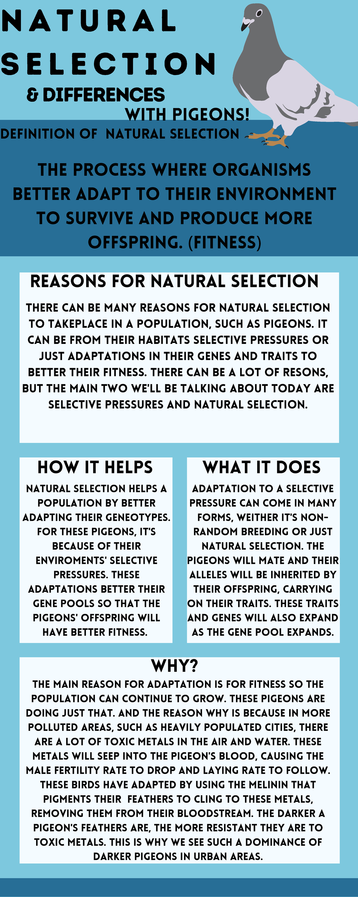 Natural Selection Definition