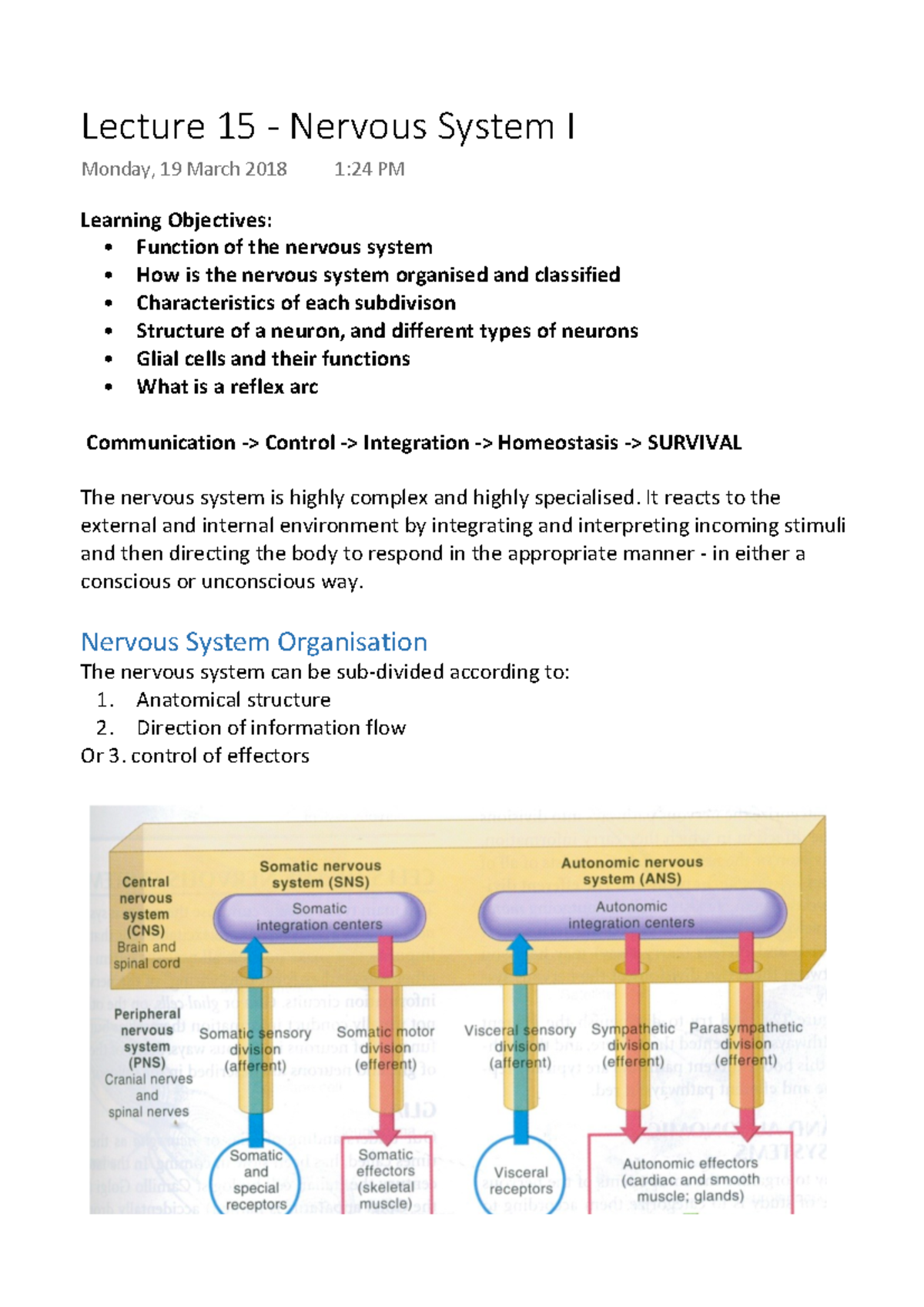 Lecture 15 - Nervous System I - Warning: TT: undefined function: 32 Learning Objectives ...