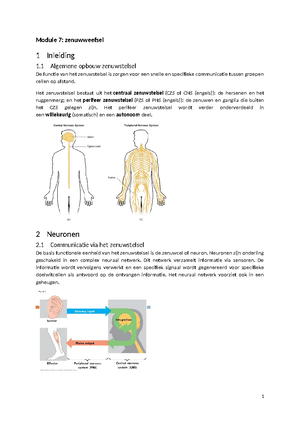 Histologie samenvatting module 5 kraakbeen en botweefsel - Module 5 ...