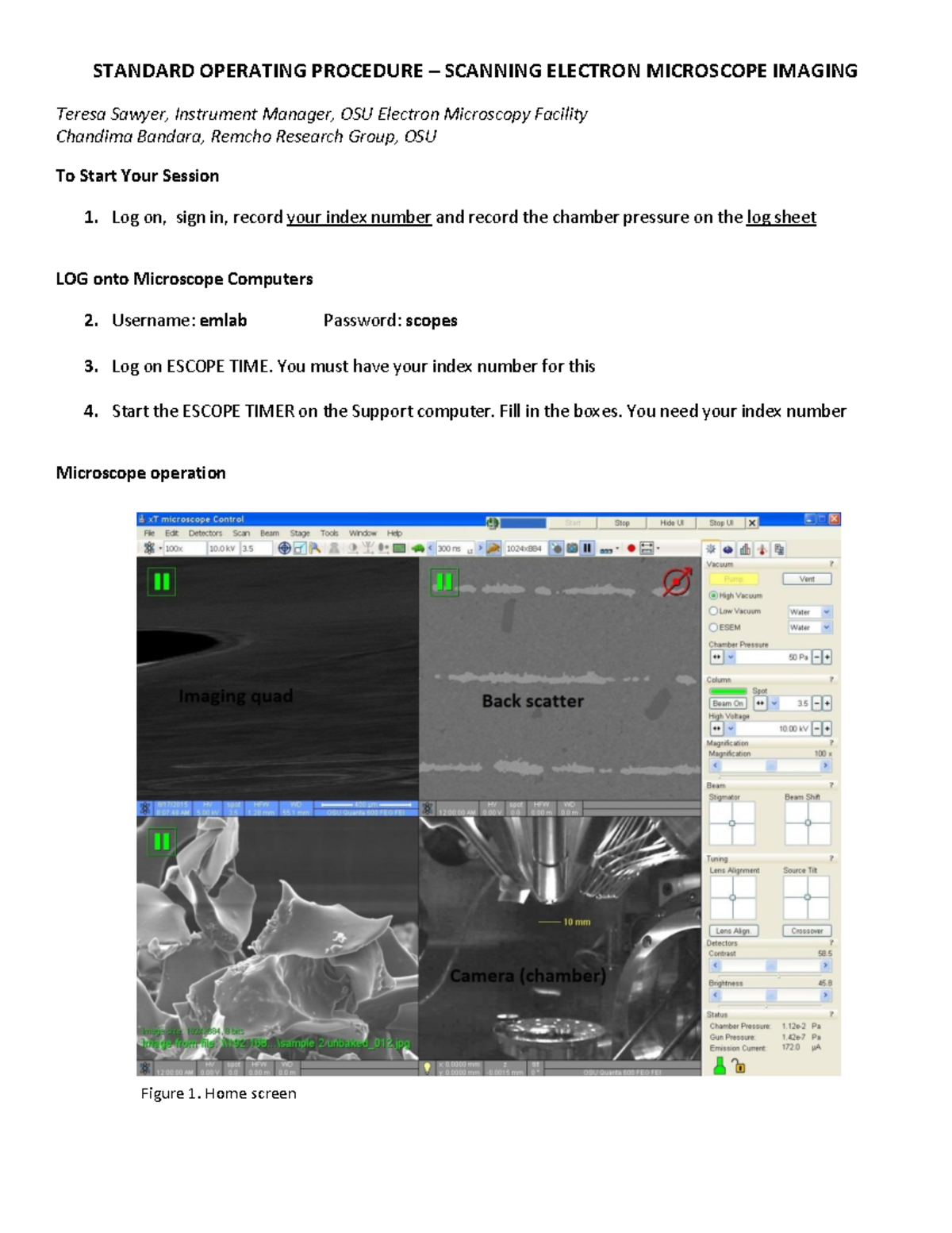 Standard operating procedure scanning electron microscope imaging 2015 ...