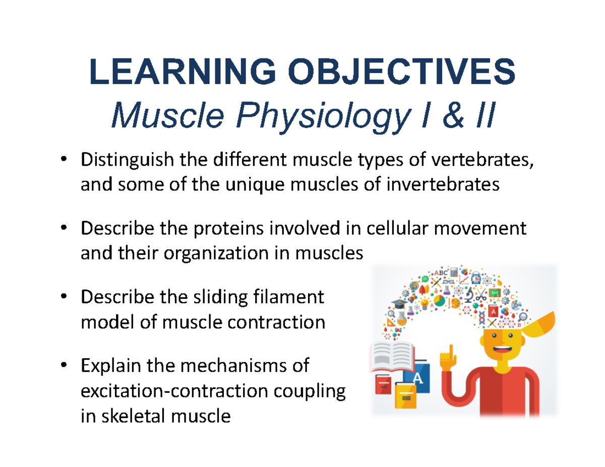BIO2A03-06A-Muscle Lecture Notes 1 - Warning: TT: undefined function ...